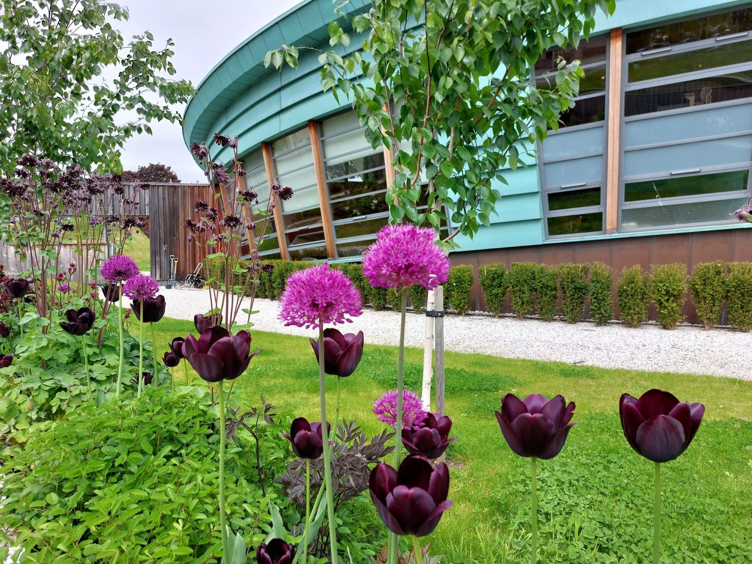 Norscot Joinery Ltd Announces Year-Long Charity Partnership with cancer ...